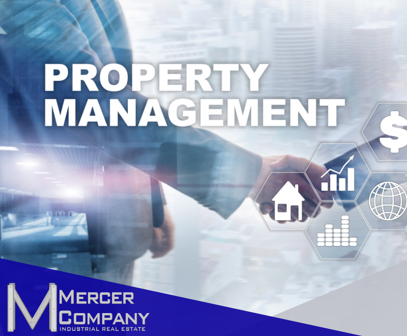 Our Services - Mercer Company